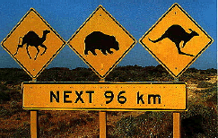 International experience – UK Metric Association